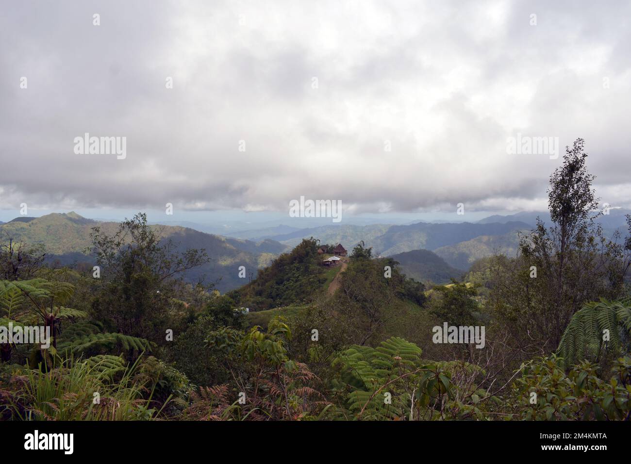 Timor springs hi-res stock photography and images - Alamy