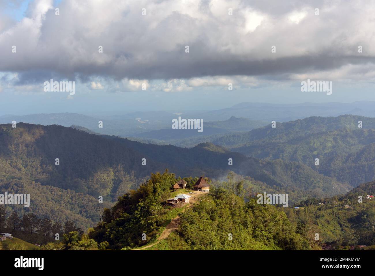 Timor springs hi-res stock photography and images - Alamy