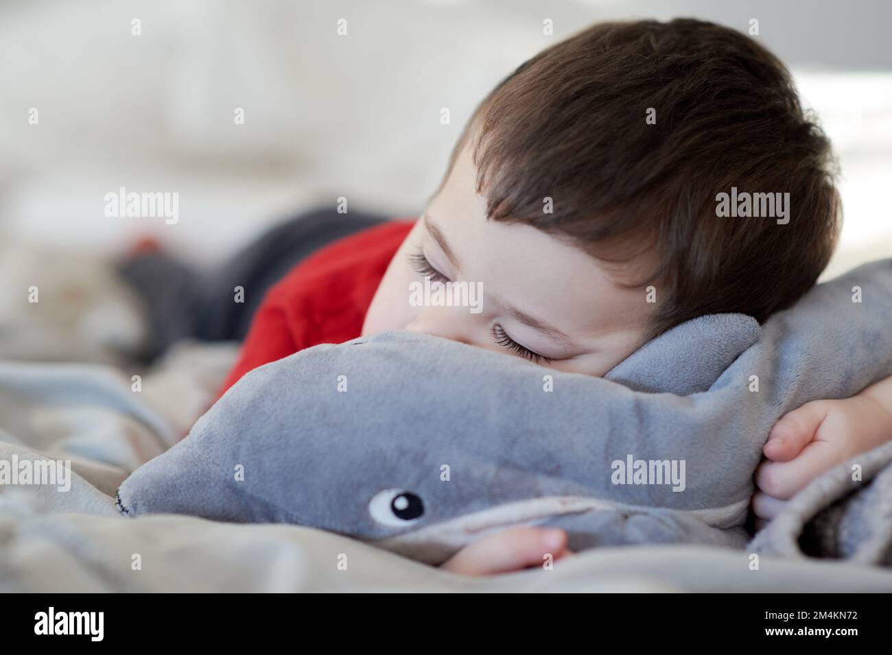 young boy taking a nap on the bed using his plush toy as a pillow Stock ...