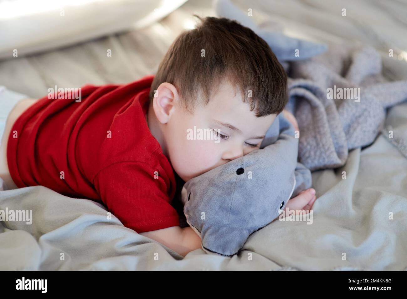 young boy taking a nap on the bed using his plush toy as a pillow Stock ...