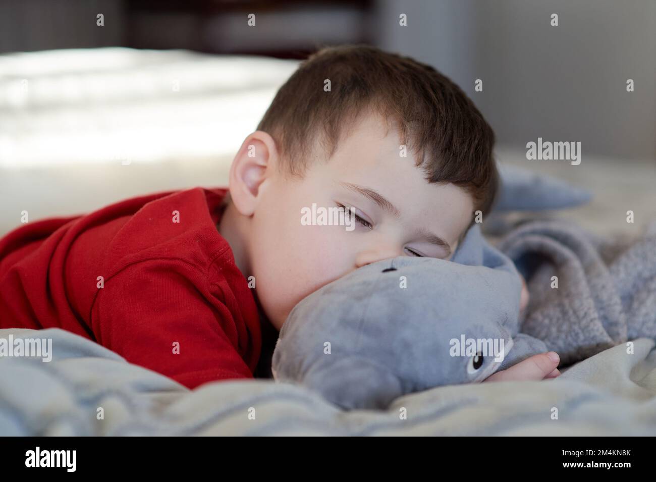 young boy taking a nap on the bed using his plush toy as a pillow Stock ...