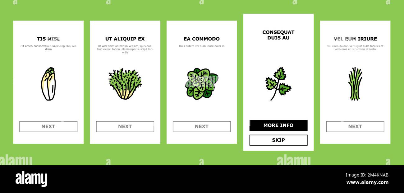 salad food healthy green fresh onboarding icons set vector Stock Vector ...