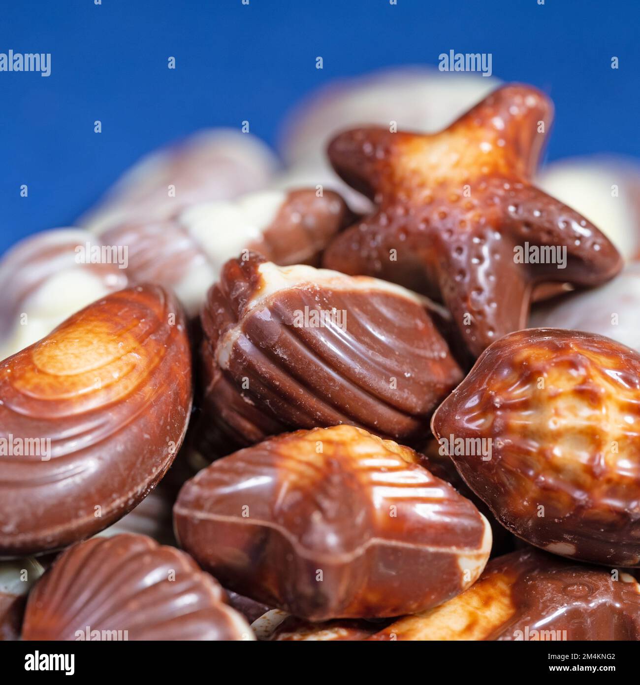 Chocolate seafood on blue background Stock Photo - Alamy