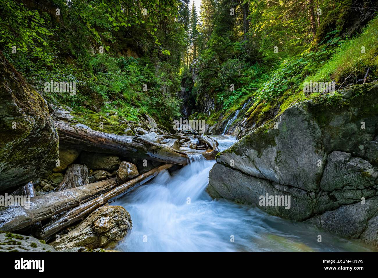 A breathtaking view of a river streaming in a middle of a green ...