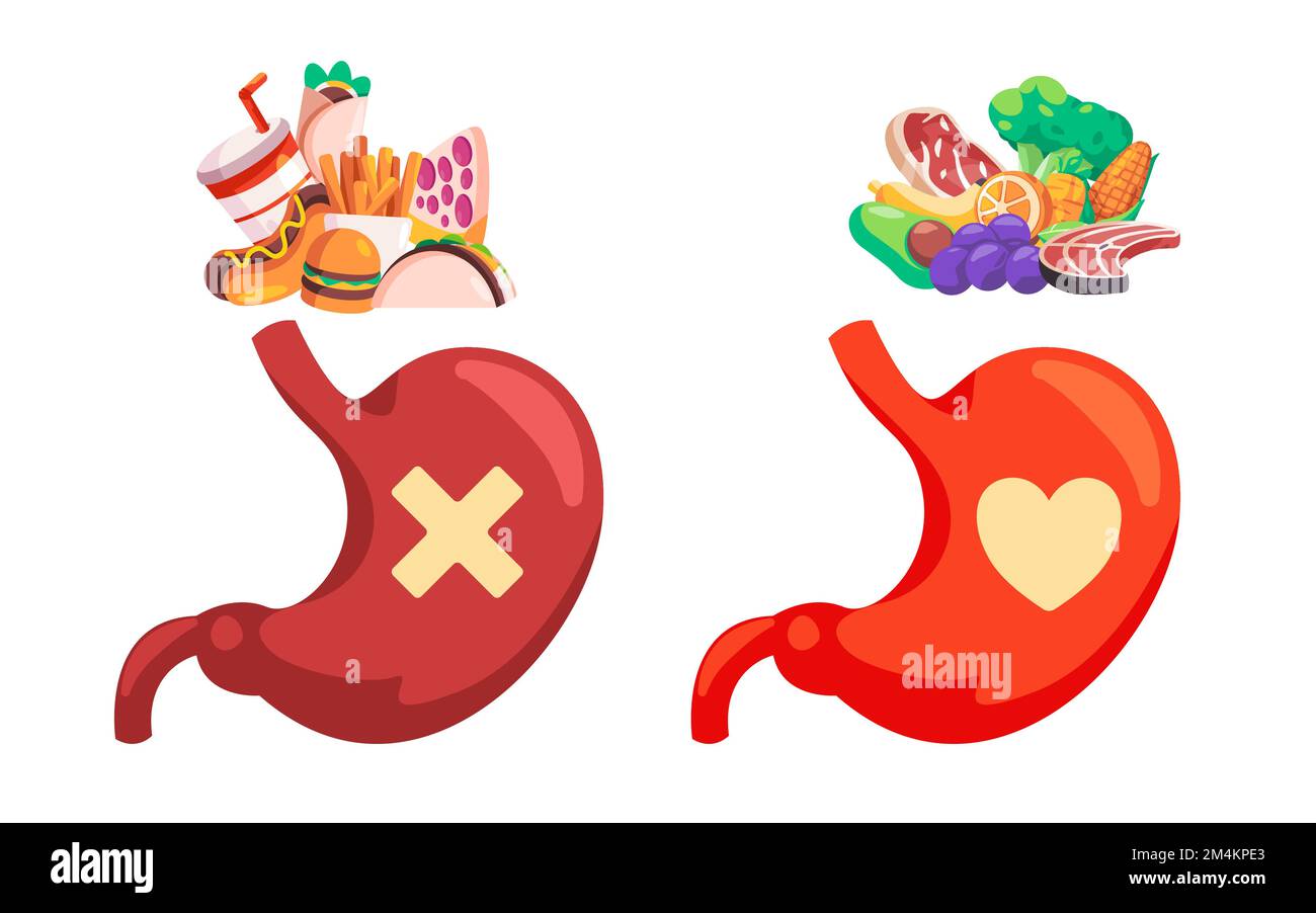 Healthy vs unhealthy food restricted diet choice good for stomach ...