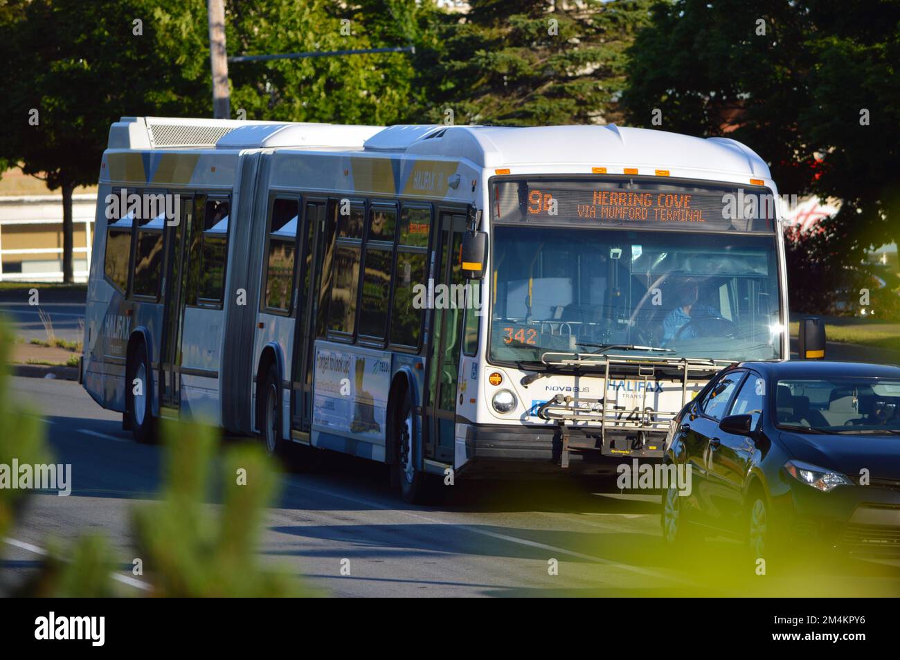 Halifax Transit route 9A articulated Novabus bus on Mumford Road in ...