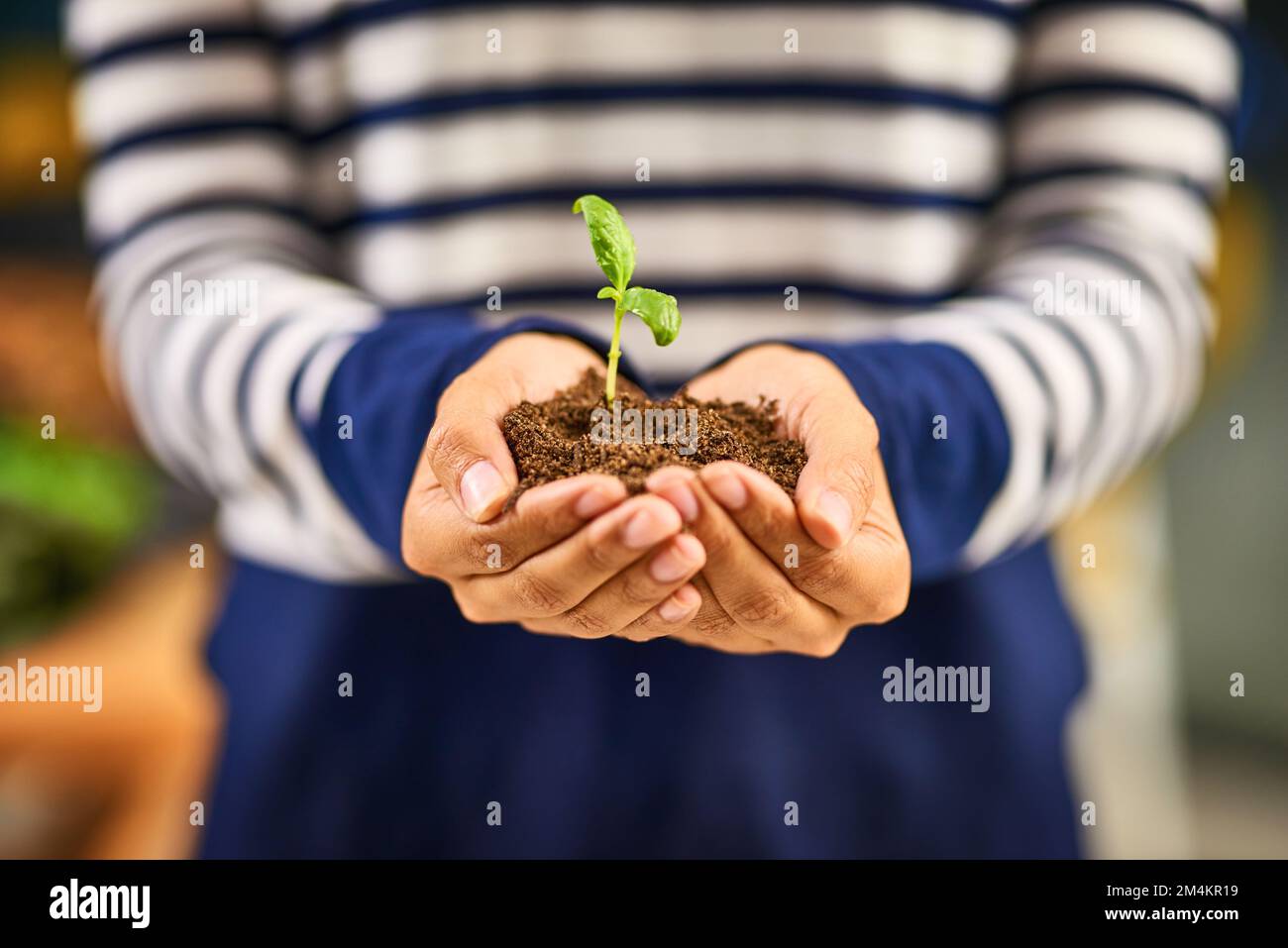Success has to start somewhere. a woman holding a plant growing out of ...