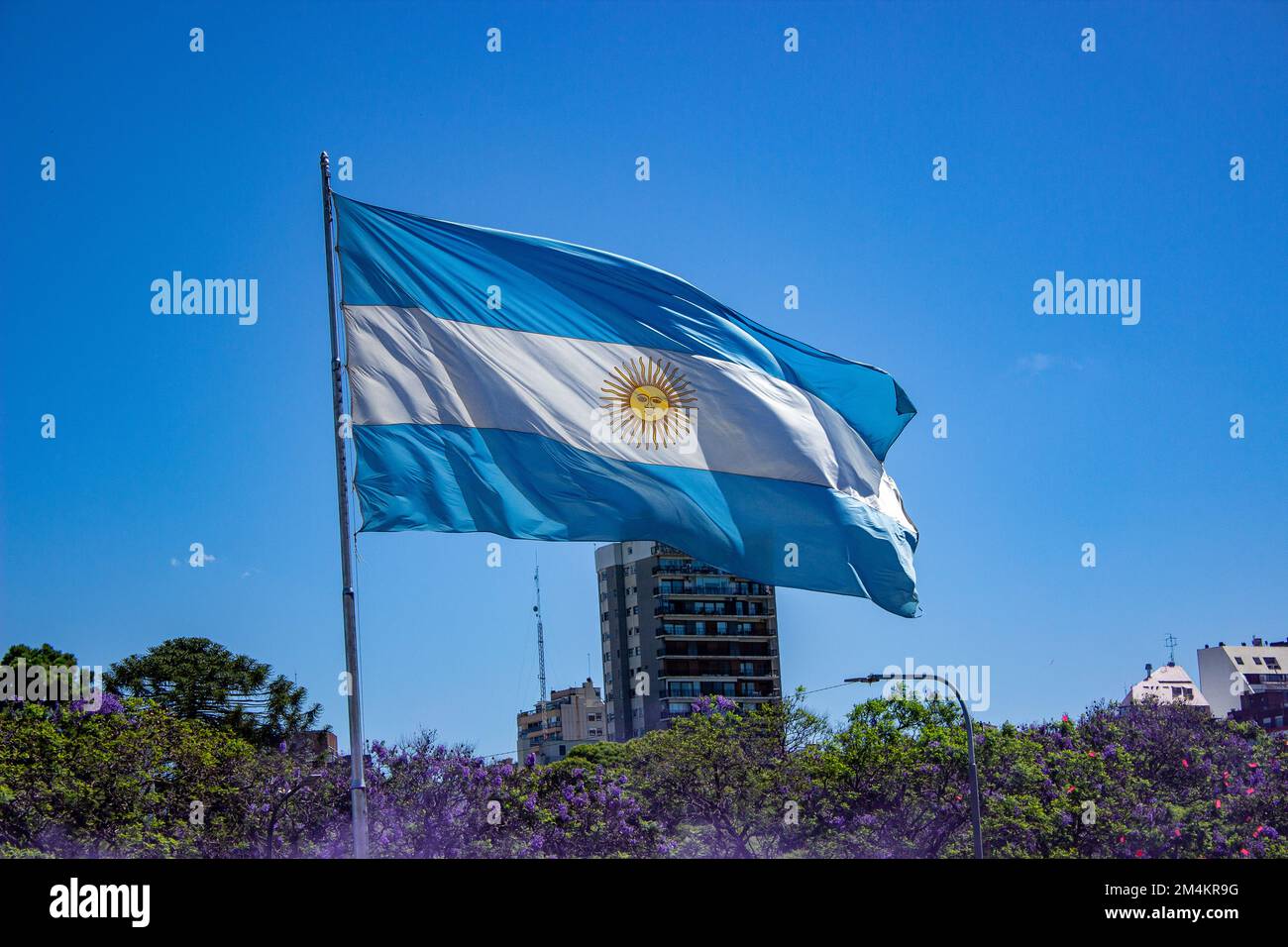 Argentina National Flag Stock Photo - Alamy