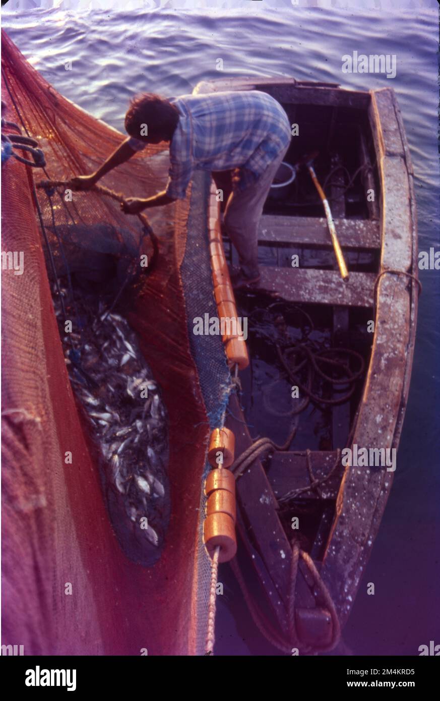 The Kolis, a traditional fishing community in Maharashtra. Koli, the ...