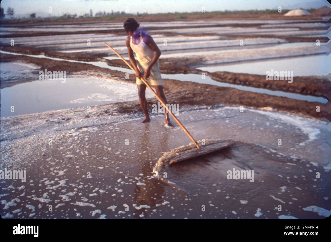 Salt Pan:- an undrained natural depression in which water gathers and ...