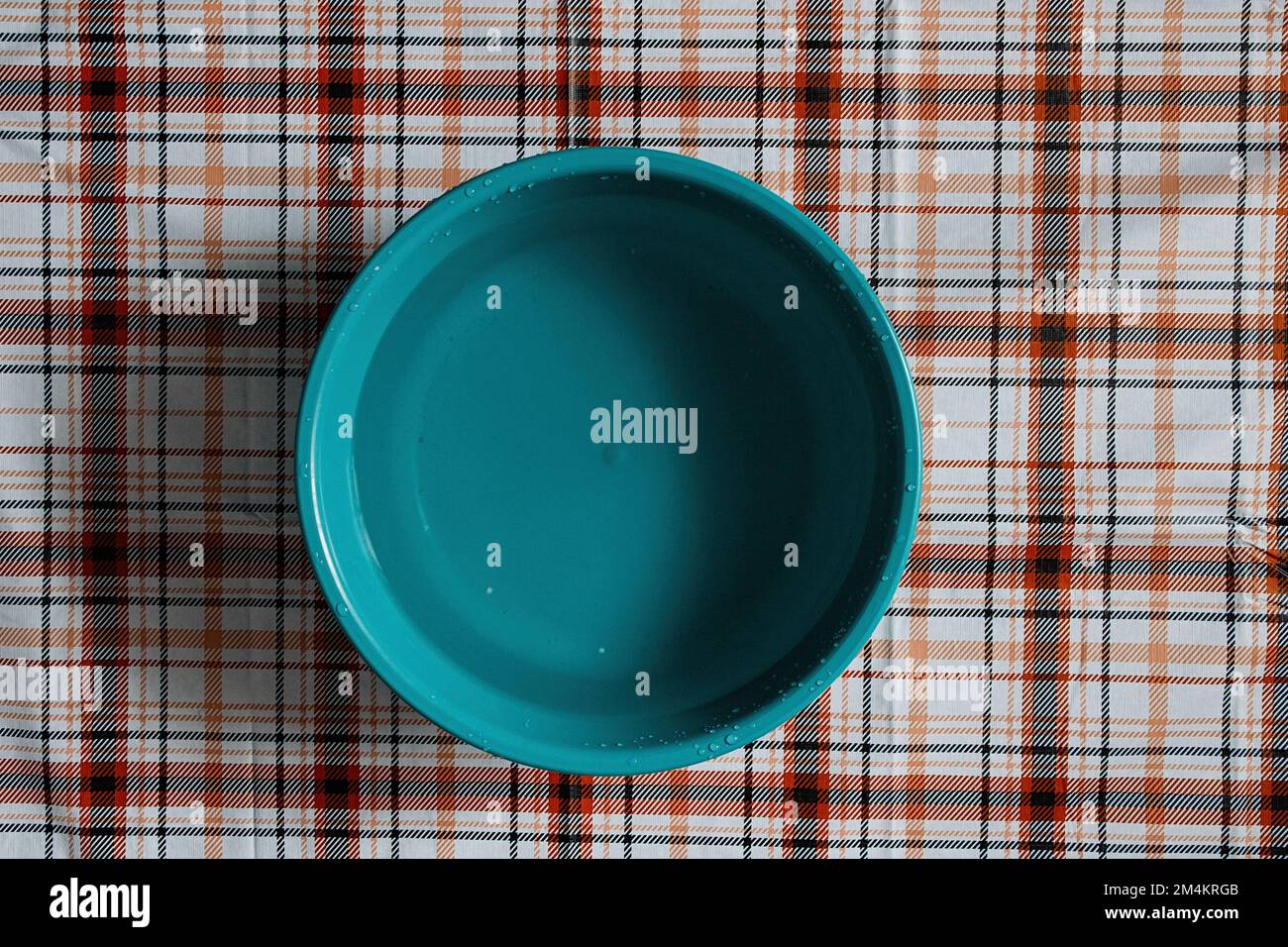 a green bowl of water stands on the bathroom floor on a checkered ...