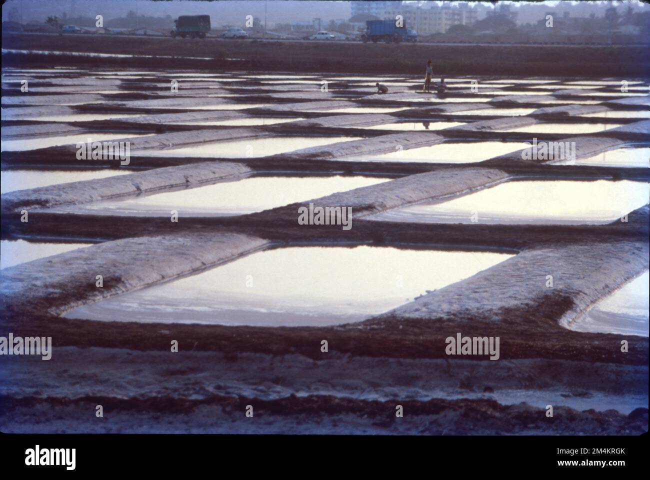 Salt Pan:- an undrained natural depression in which water gathers and ...