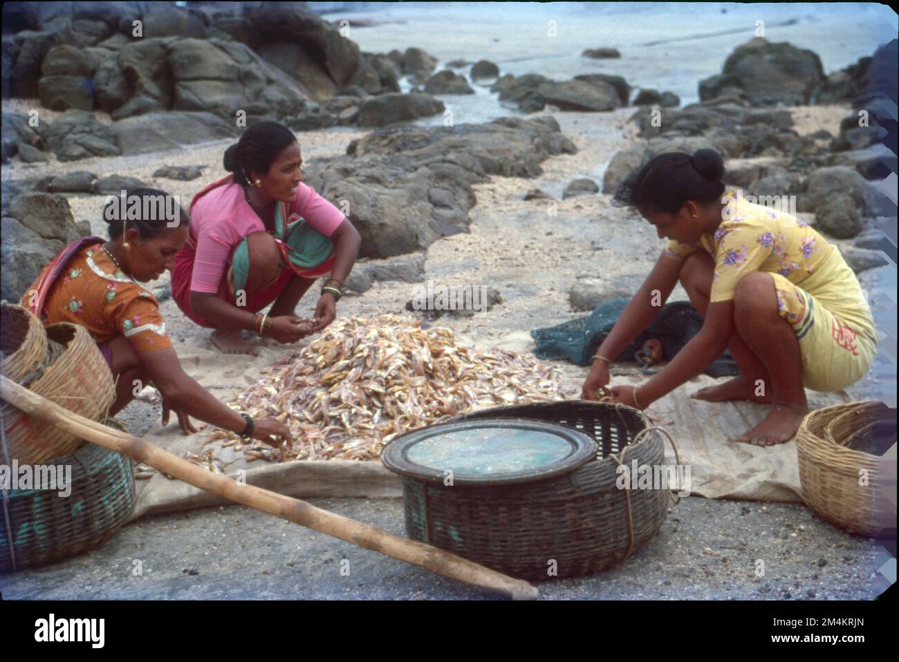 Catch of the day being assorted hi-res stock photography and images - Alamy