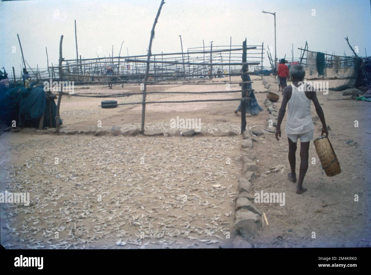 The Kolis, a traditional fishing community in Maharashtra. Koli, the ...
