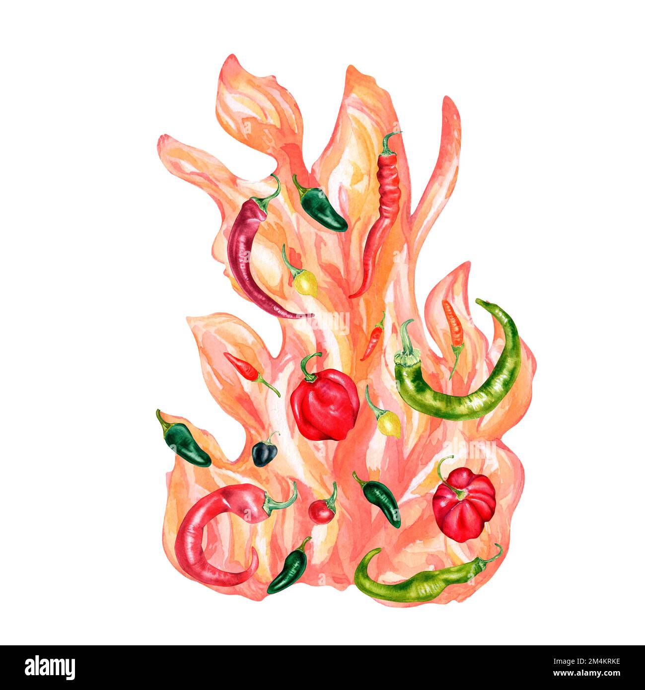 Flame and various hot peppers watercolor illustration isolated on white ...