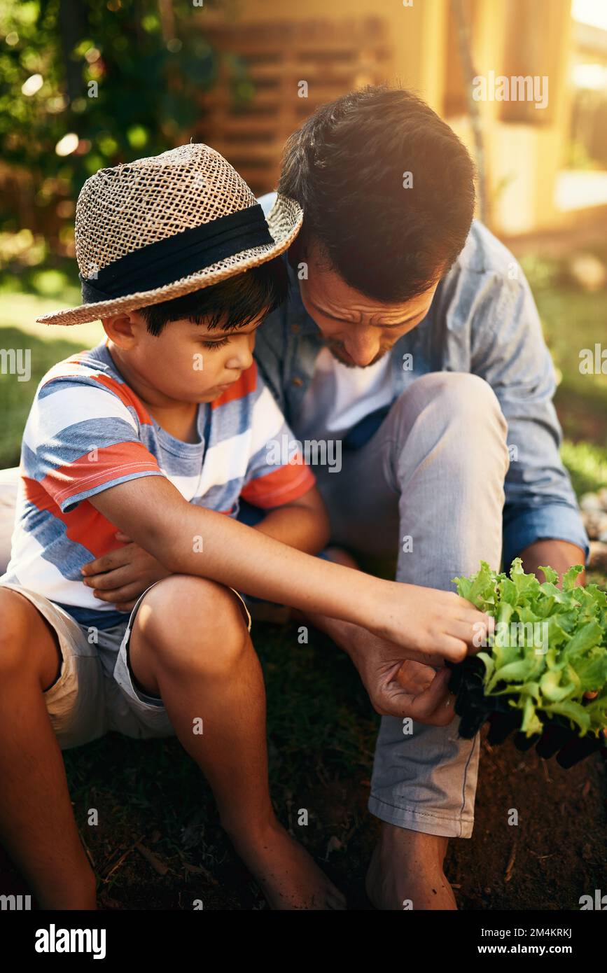 Father son gardening hi-res stock photography and images - Alamy