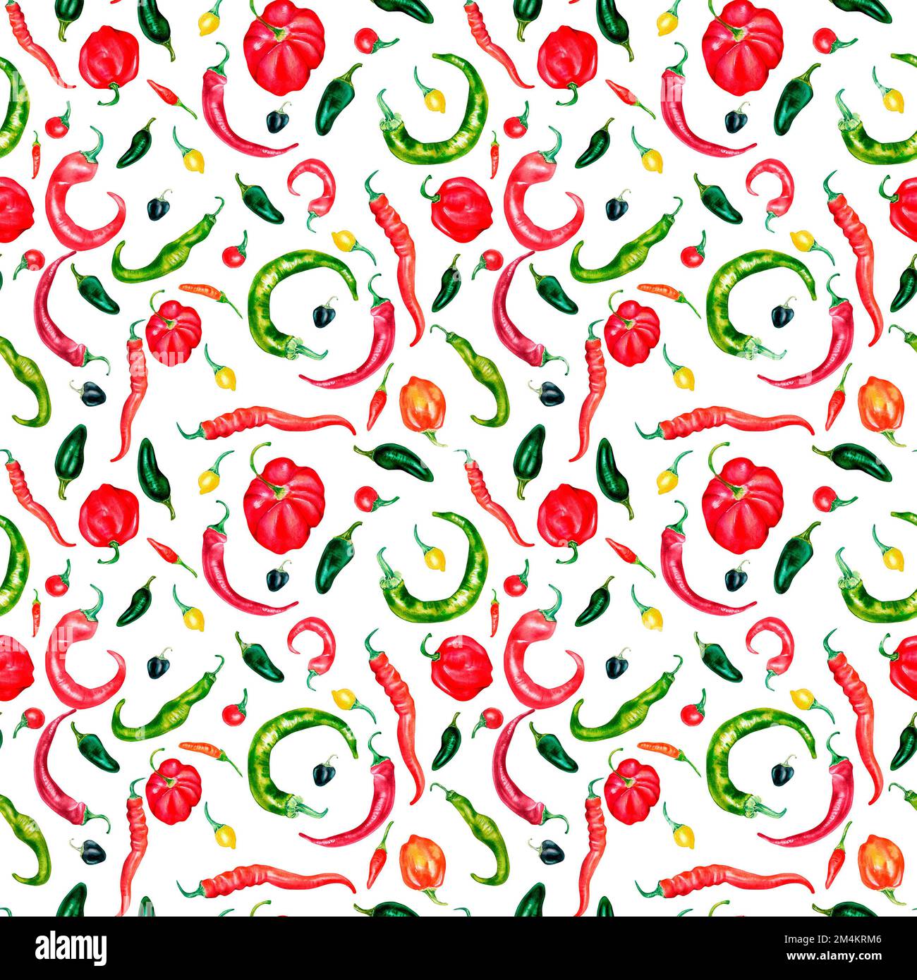 Various hot peppers watercolor seamless pattern isolated on white. Bola ...