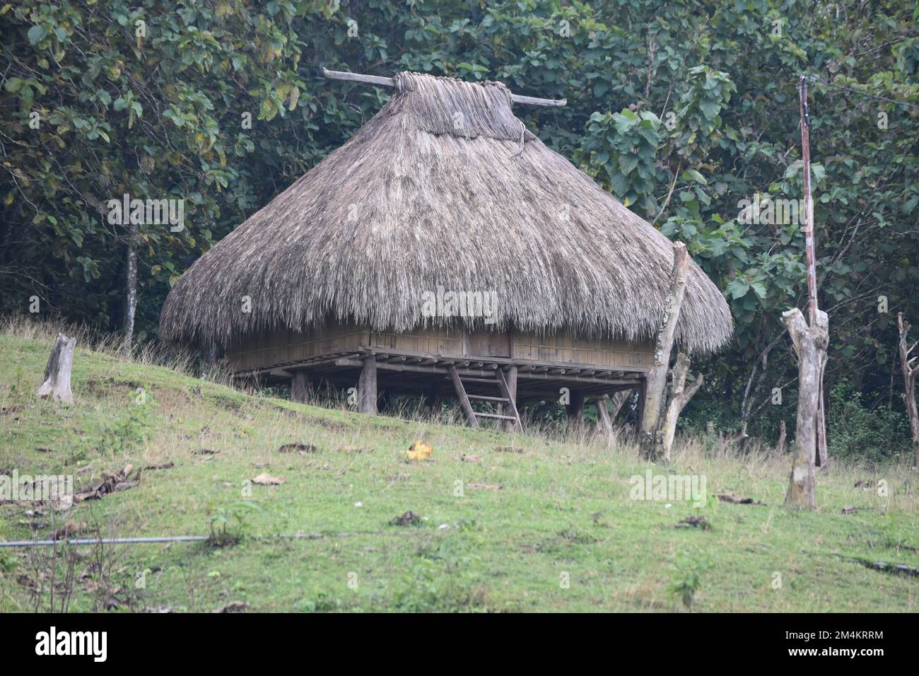 Antiquities systematically hi-res stock photography and images - Alamy