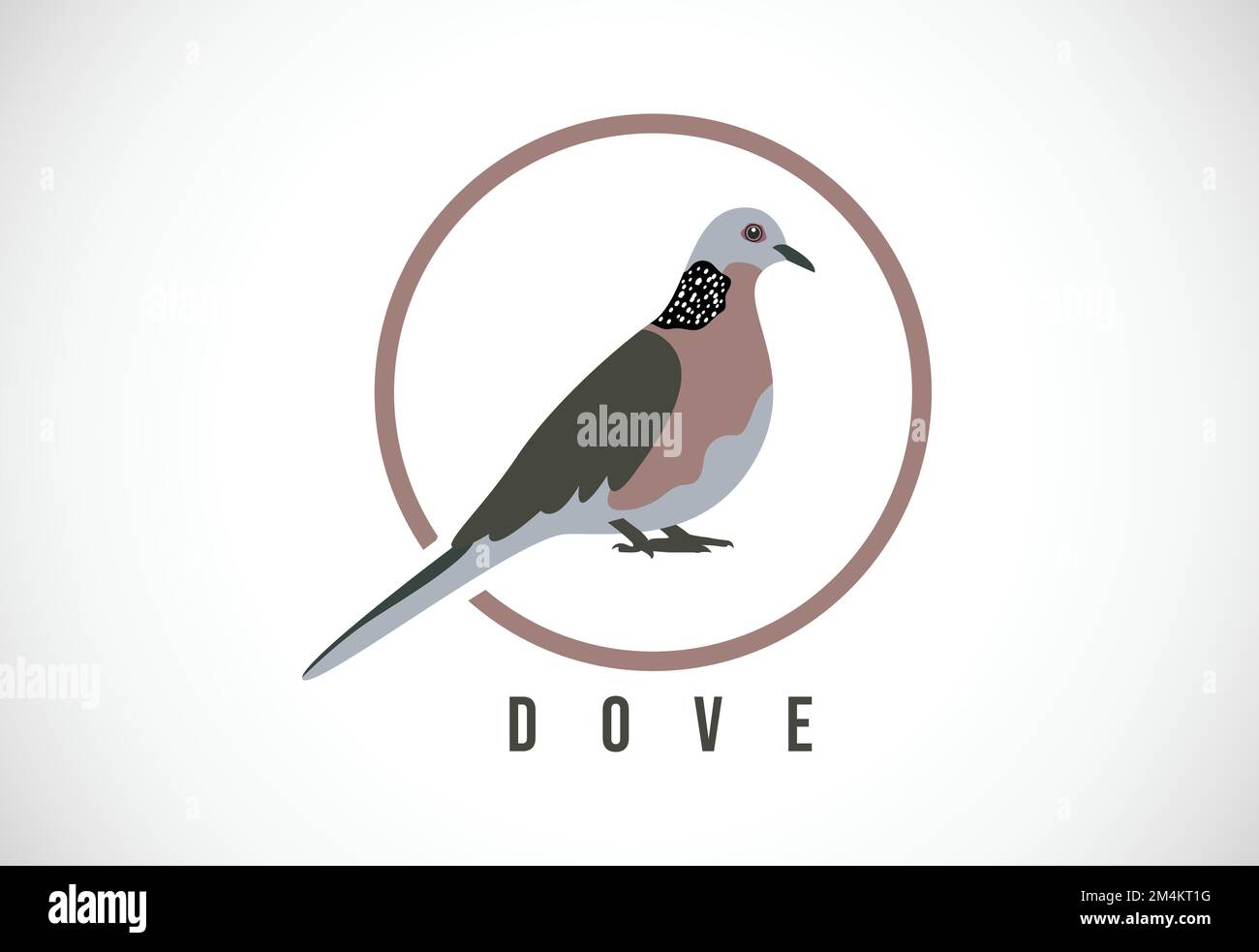 Dove bird in a circle. Dove bird logo design template vector illustration Stock Vector Image ...