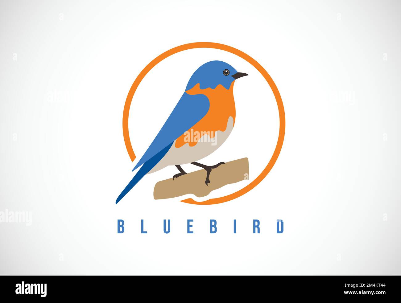 Bluebird in a circle. Bluebird logo design template vector illustration ...