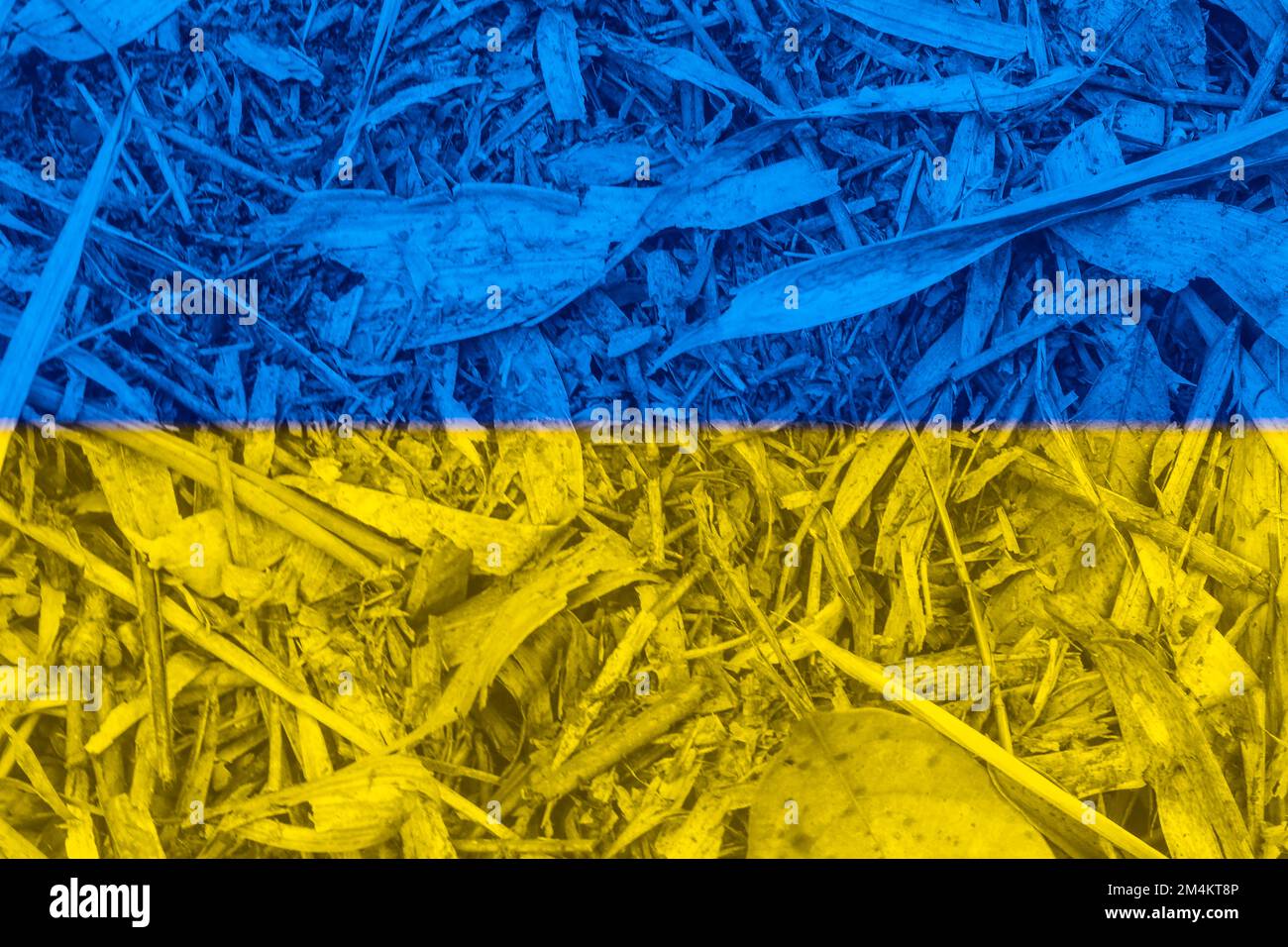 Ukrainian flag texture as background Stock Photo - Alamy
