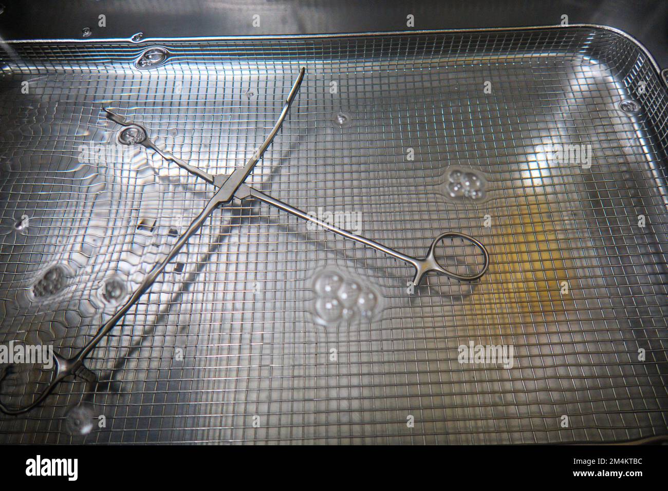 a surgical instrument is placed in an ultrasonic bath Stock Photo - Alamy