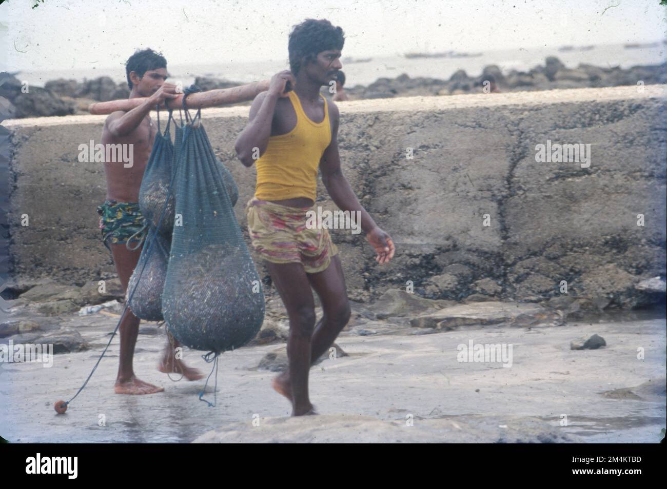 The Kolis, a traditional fishing community in Maharashtra. Koli, the ...