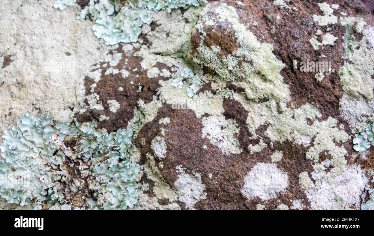 amazing stone texture as background Stock Photo - Alamy