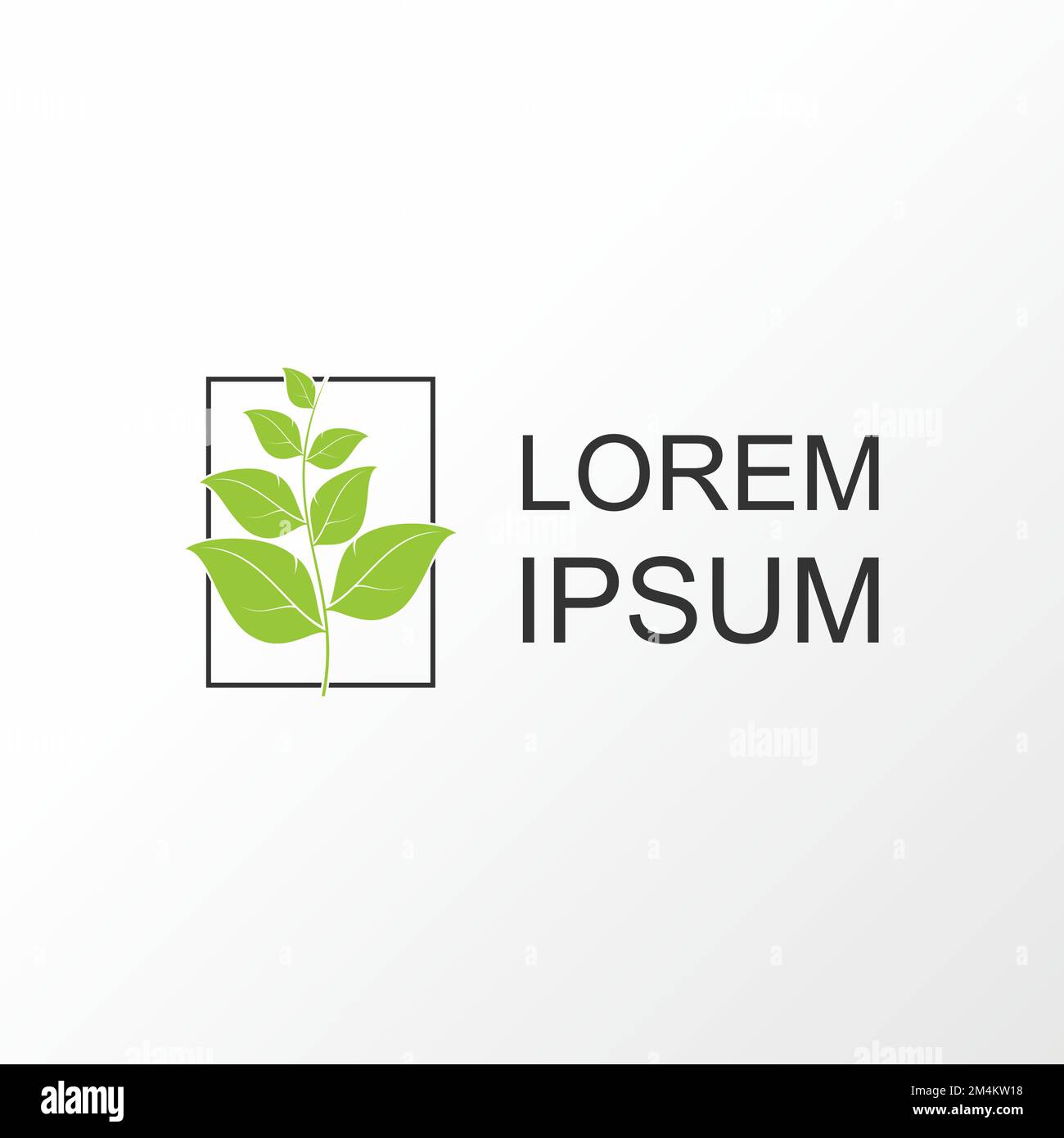 Unique and attractive leaf and stem shape Image graphic icon logo ...