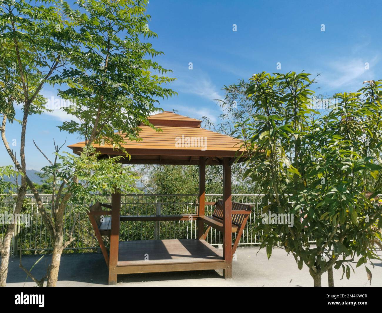 A wooden Thai gazebo with coconut palm tree and lanscape in Phuket ...