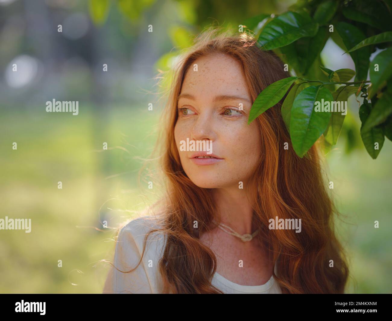 Beauty Woman Face With Healthy Skin And Green Plant at sunset time ...