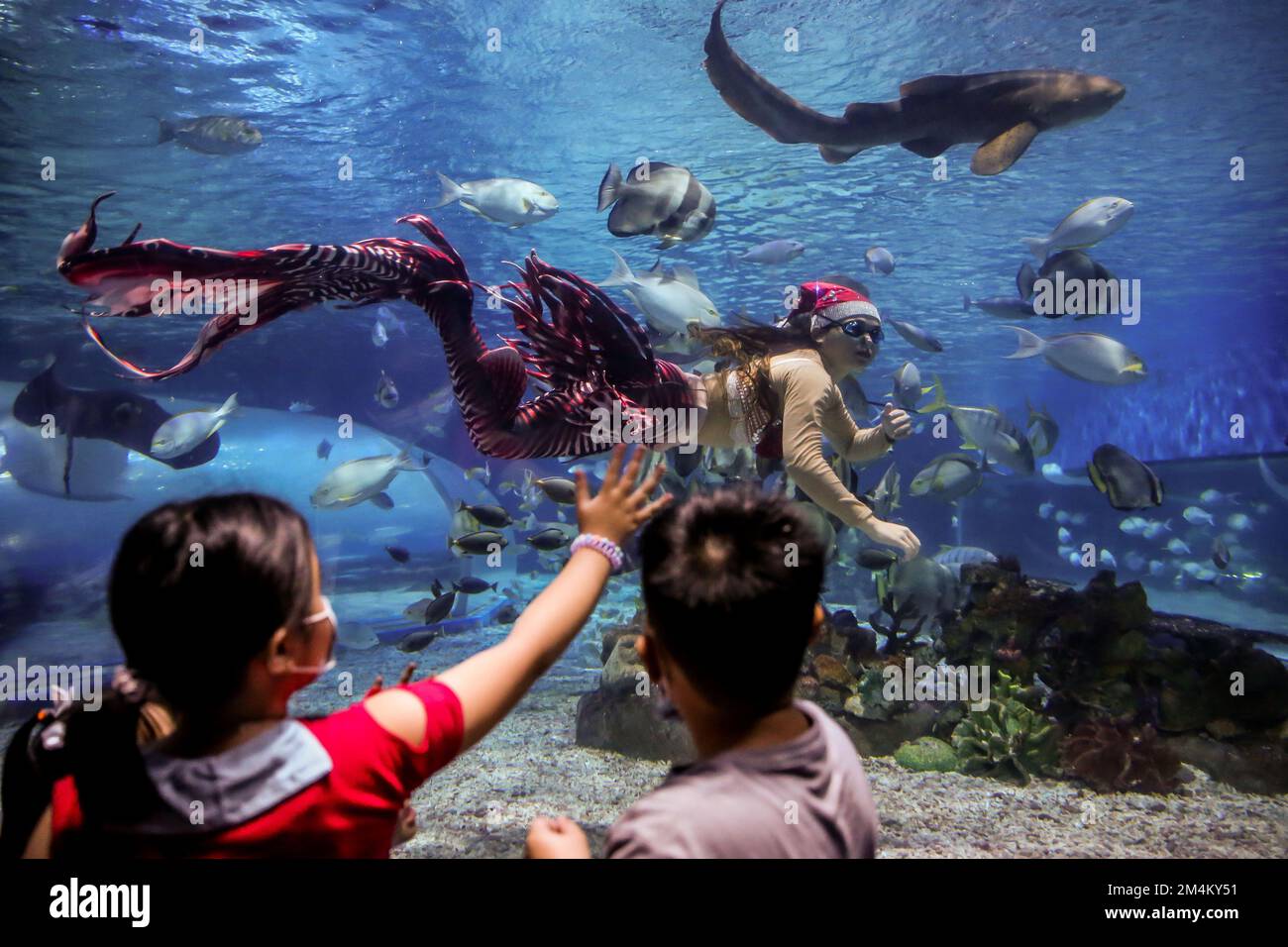 Manila, Philippines. 22nd Dec, 2022. Visitors watch a diver dressed as ...