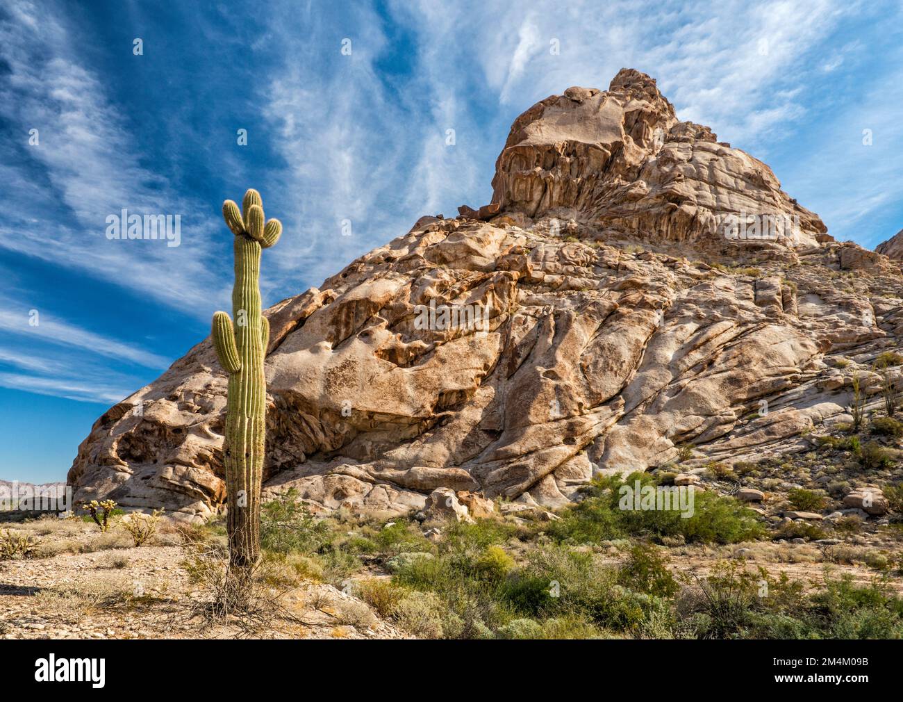 High tanks hi-res stock photography and images - Alamy