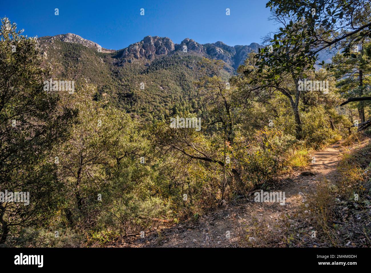 Unnamed peaks in Mount Wrightson massif, view from Super Trail, Santa ...