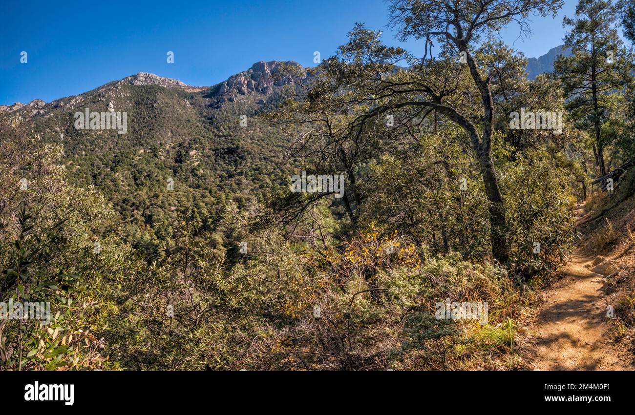 Unnamed peaks in Mount Wrightson massif, view from Super Trail, Santa ...