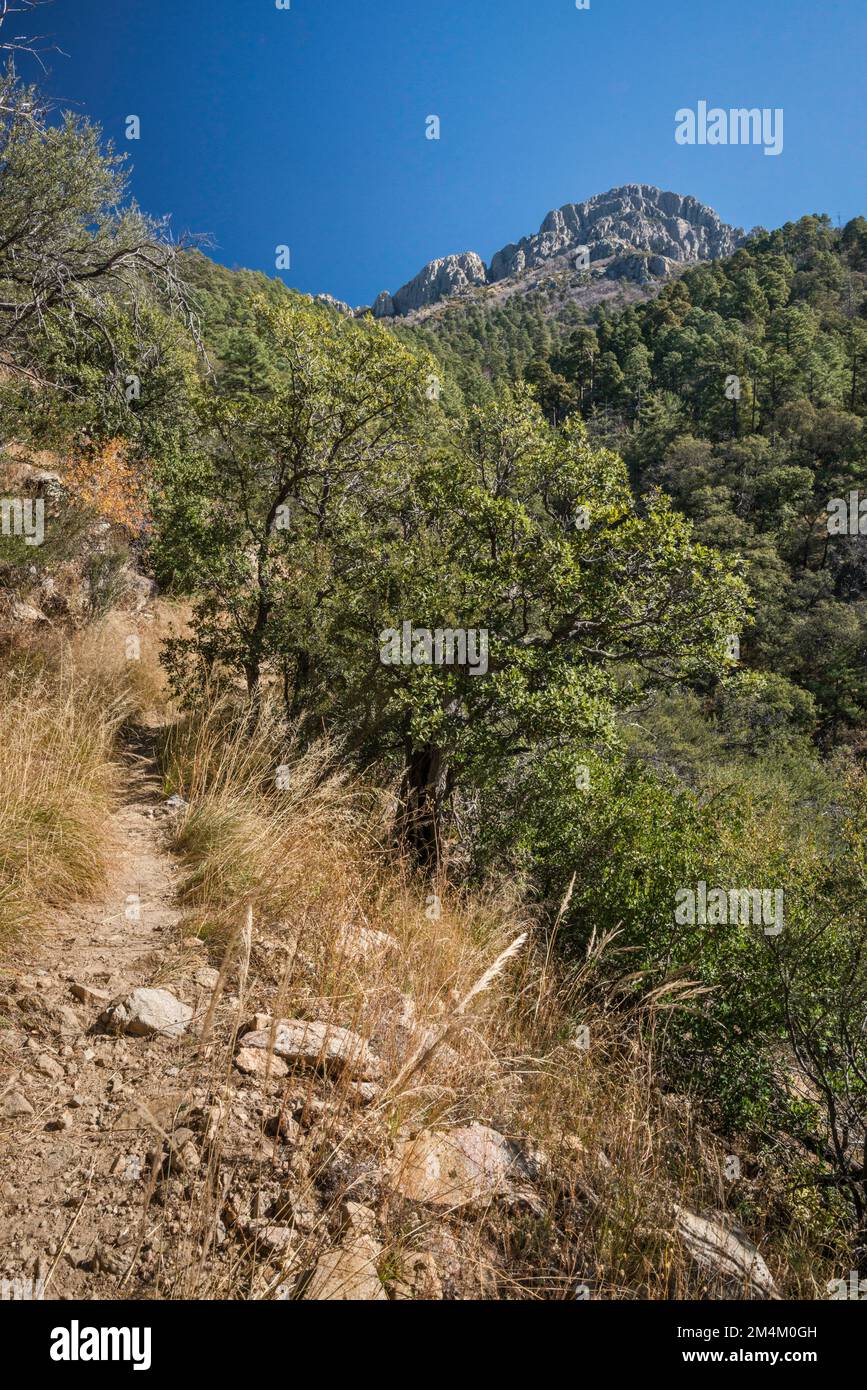 Mount Wrightson, view from Super Trail, over Madera Canyon, Santa Rita ...