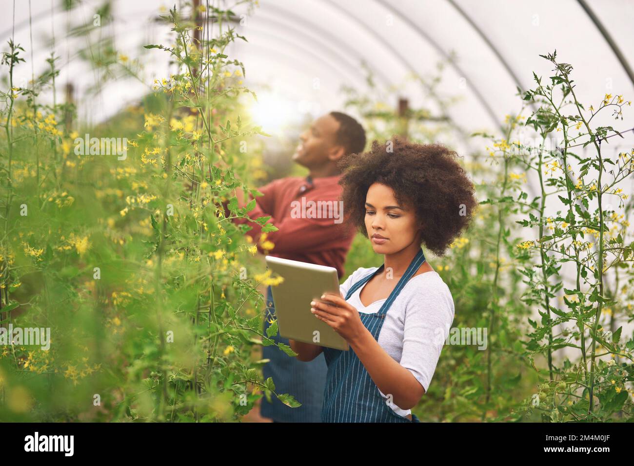 Information is a valuable resource on a farm. young farm couple using a ...