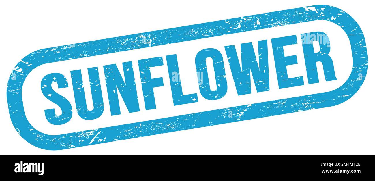 SUNFLOWER, text on blue rectangle stamp sign Stock Photo - Alamy