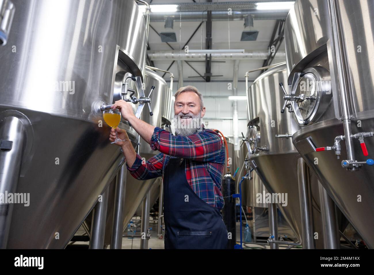 Brewery owner pouring some beer from the tanks Stock Photo - Alamy