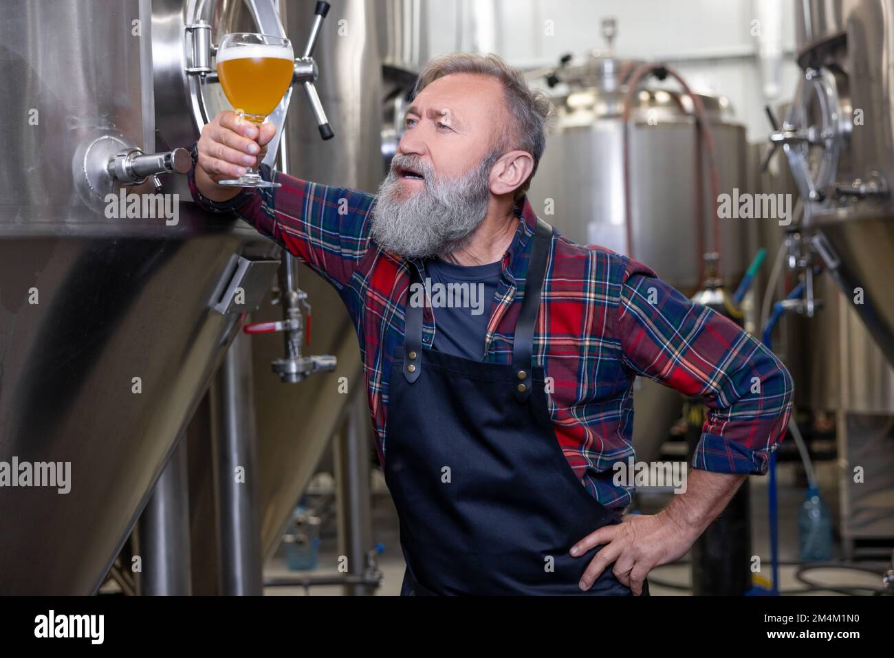 Brewery owenr tasting fresh beer and looking interested Stock Photo - Alamy