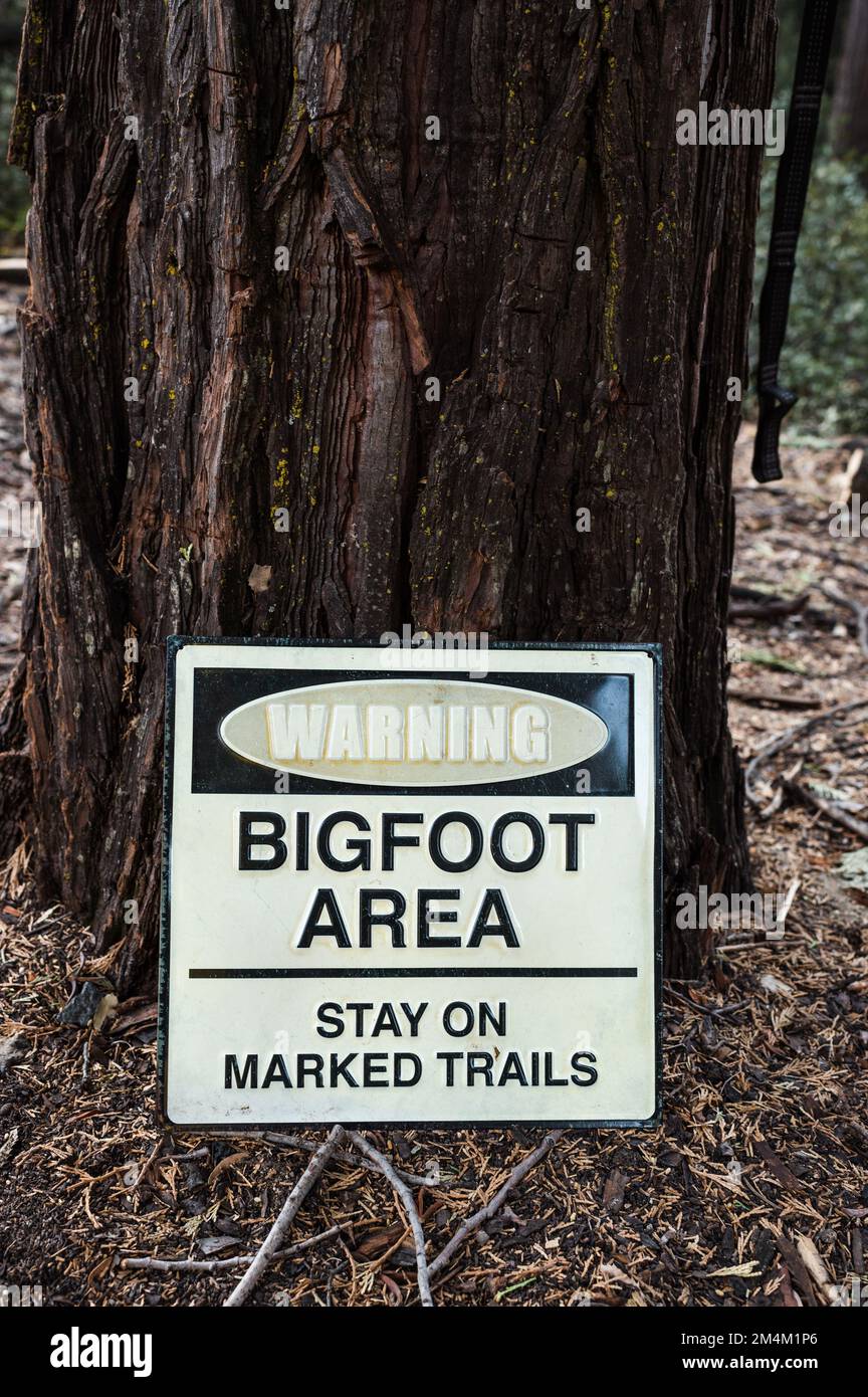 A vertical shot of a warning sing in the forest: bigfoot area, stay on ...