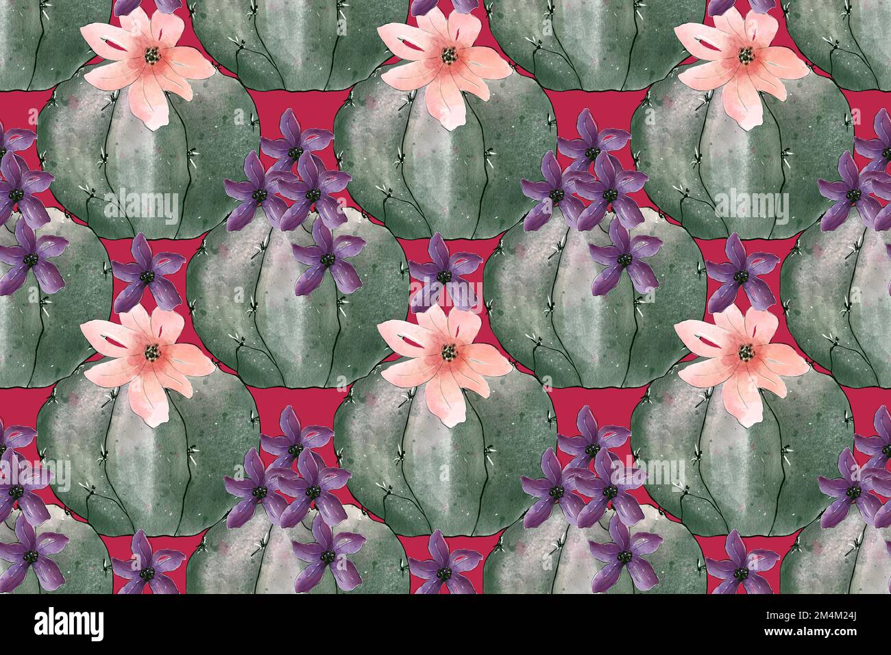 Seamless pattern with succulents and cacti flowers. Watercolor hand ...