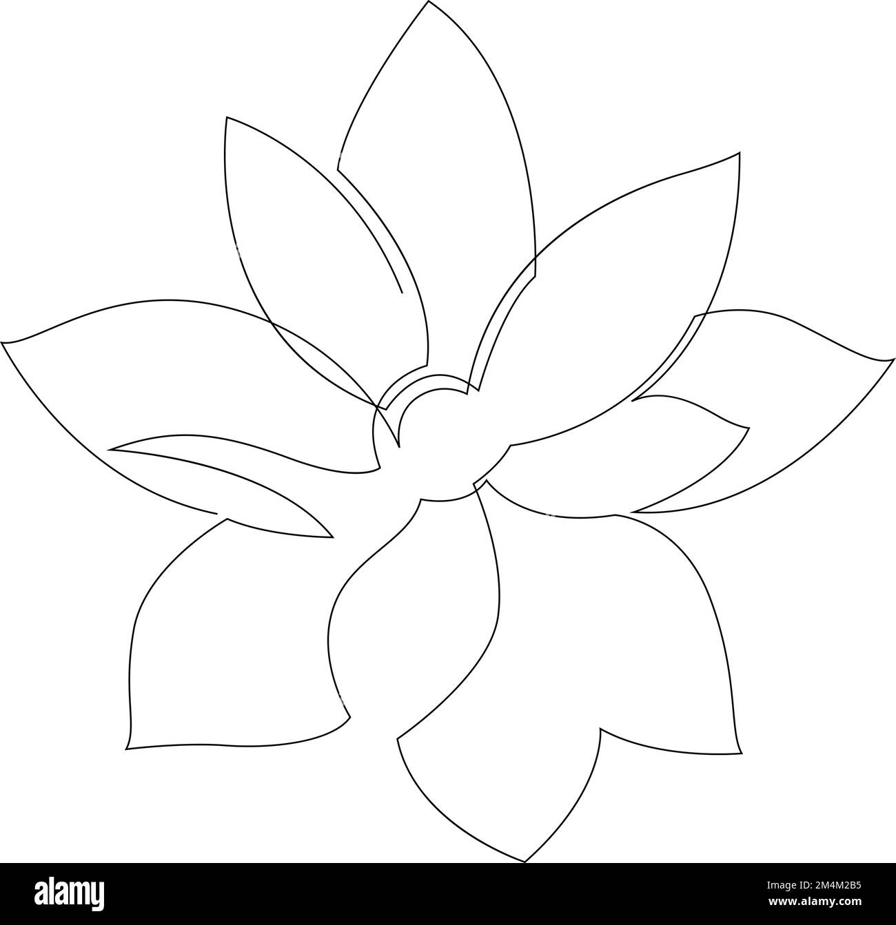 Lily drawing hi-res stock photography and images - Alamy