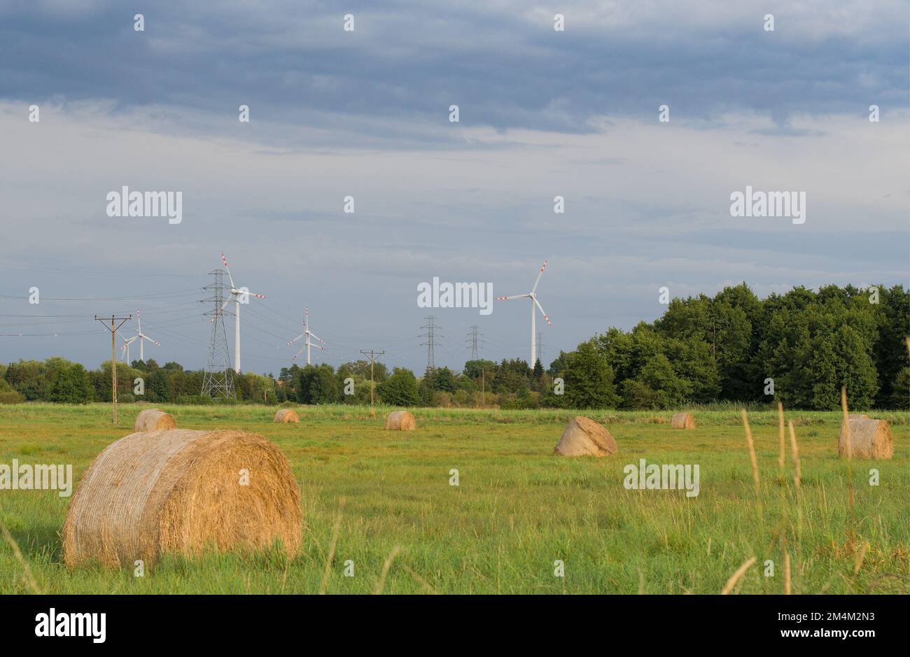 dry hay bale on green meadow Stock Photo - Alamy