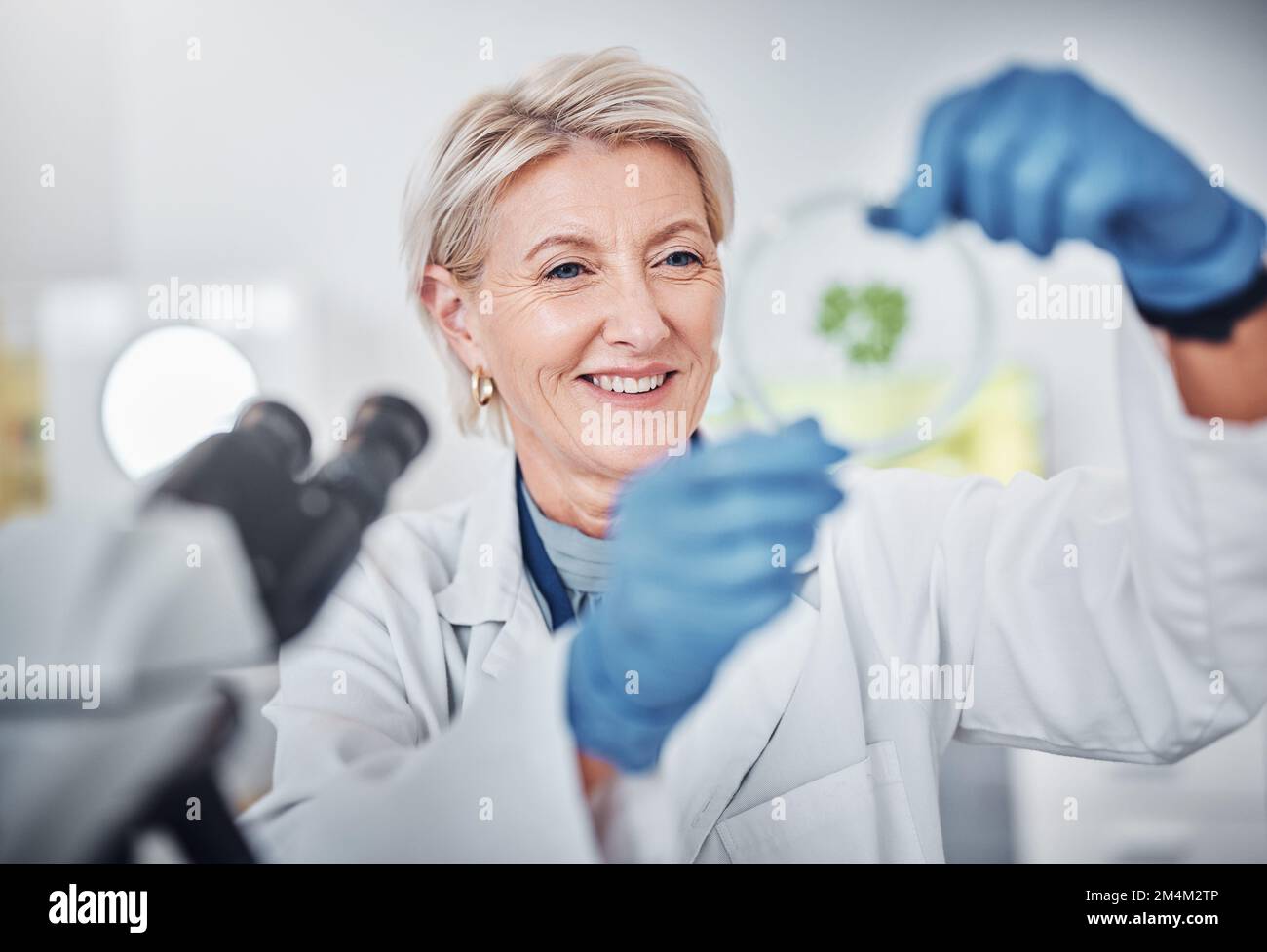 Science, research and plants sample with a doctor woman at work in a ...