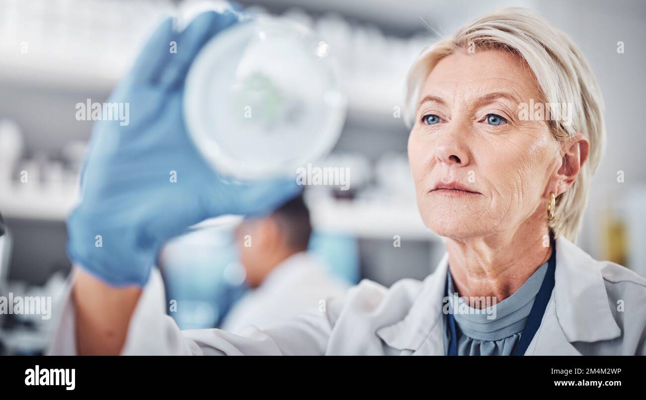 Science, research and sample with a doctor woman at work in a ...