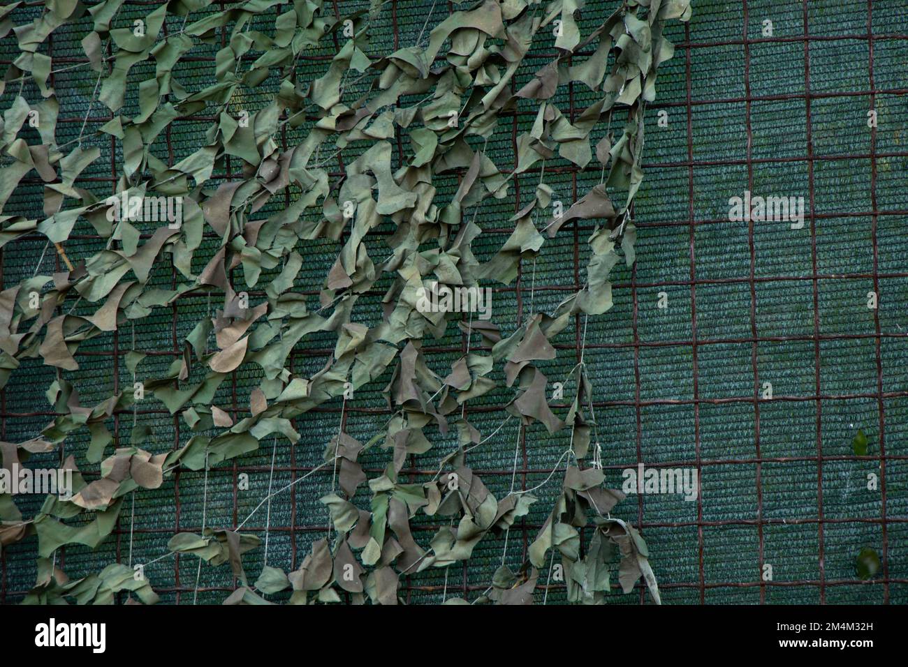 Camouflage khaki net military hi-res stock photography and images - Alamy