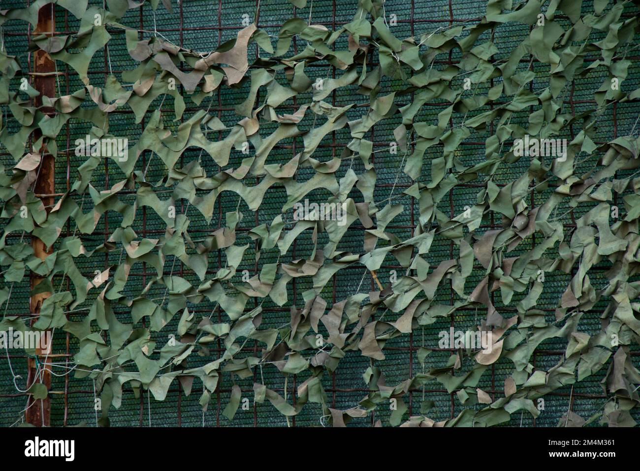 Camouflage khaki net military hi-res stock photography and images - Alamy