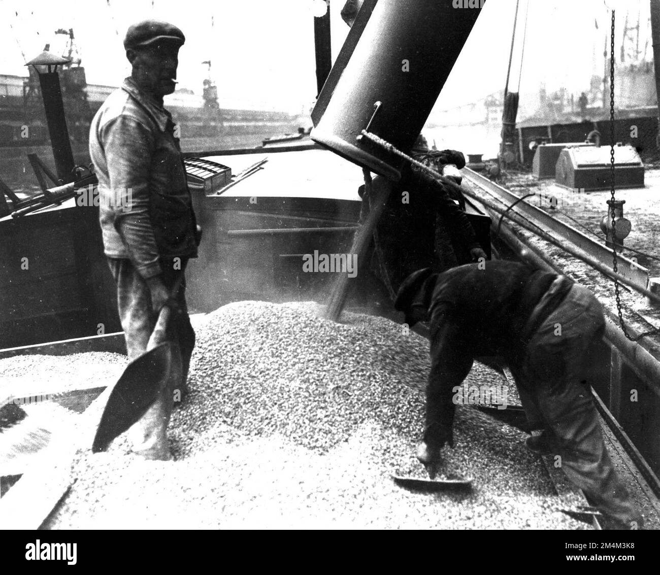 Corn Shipment - Corn Feed Imported Under the Marshall Plan. Photographs ...