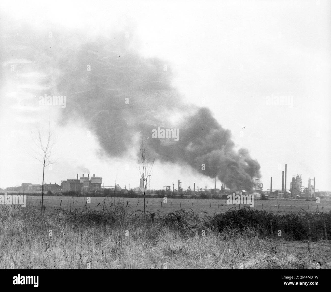 Robertson Factory at Le Havre. Photographs of Marshall Plan Programs ...